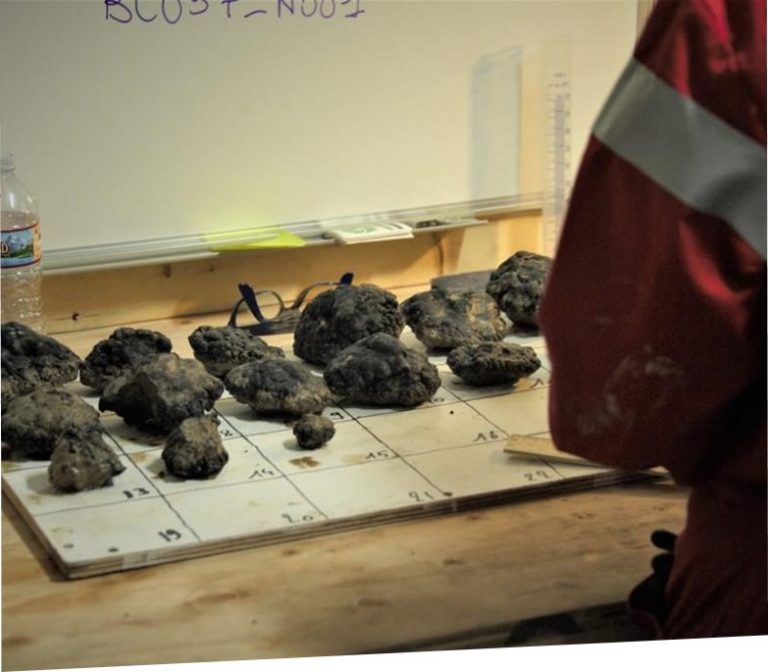 GSR's Head of Sustainability provides update on Patania II trials and ...